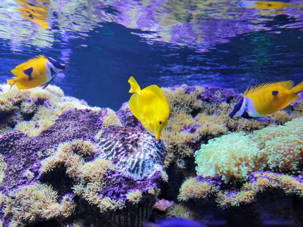 A SABIC colabora com a UPM Raflatac para lançar o primeiro material de ...